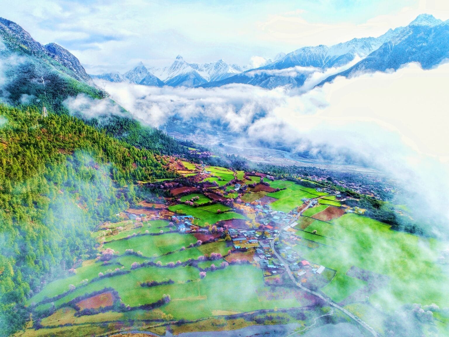 Nyingchi Peach Blossom Festival: A Guide to the Most Beautiful Spots ...