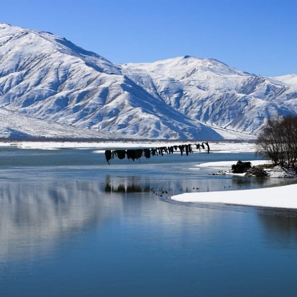 Yarlung Tsangpo River: Longest Plateau River in the World