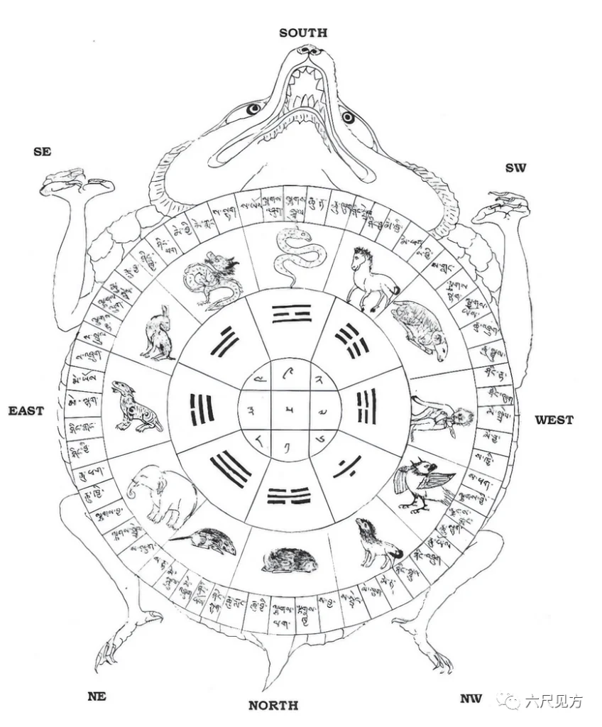 Zodiac elephant - Horoscopeaz.com
