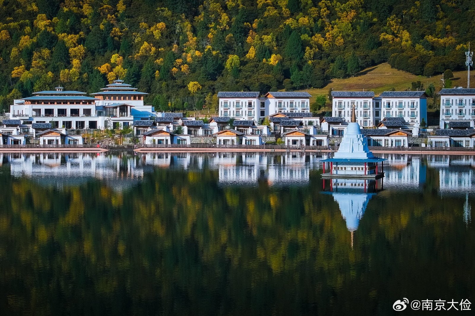 Discover Popular Lulang Forest: A Slice of Heaven in Nyingchi, Tibet